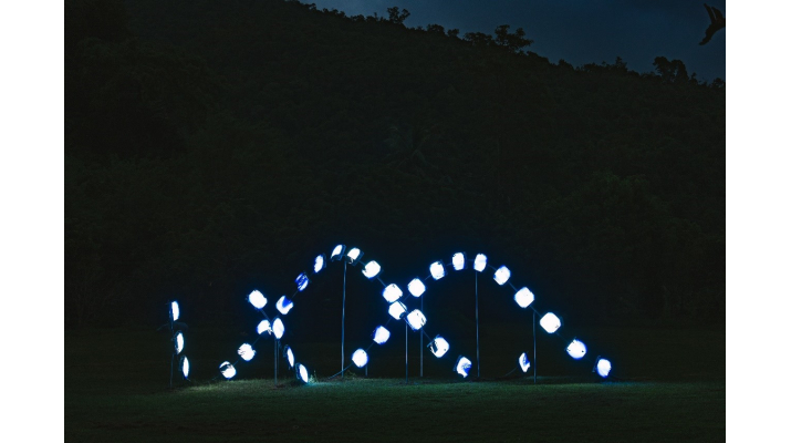 2023台東ライト・フェスティバル《知本に還る》で光を追おう！ | Taitung County Government