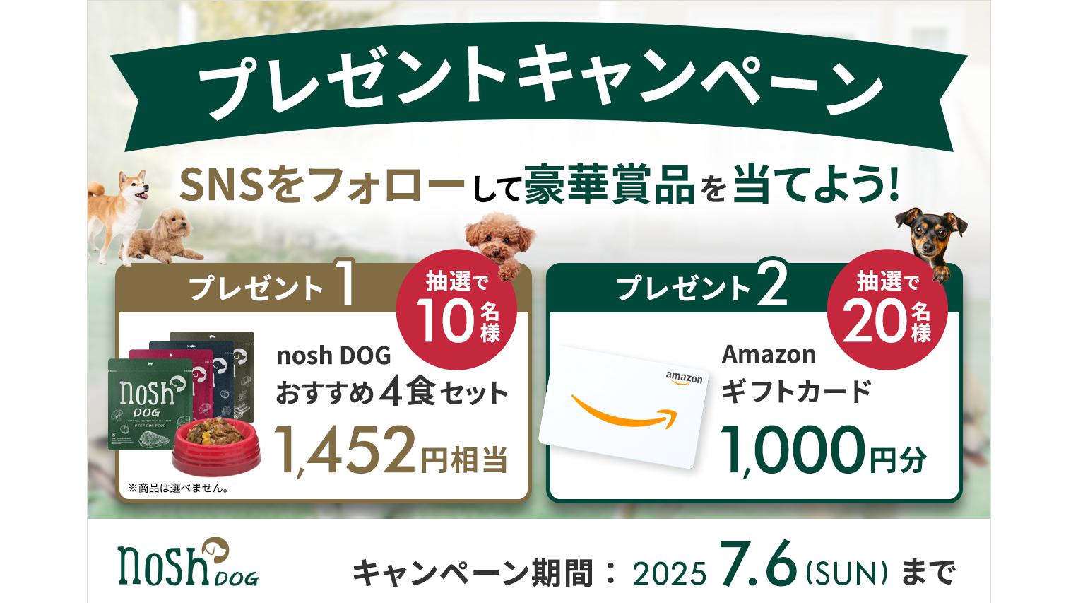 「nosh DOGおすすめ4食セット」または「Amazonギフトカード1,000円分」が当たるプレゼントキャンペーンを開催！ | ナッシュ株式会社
