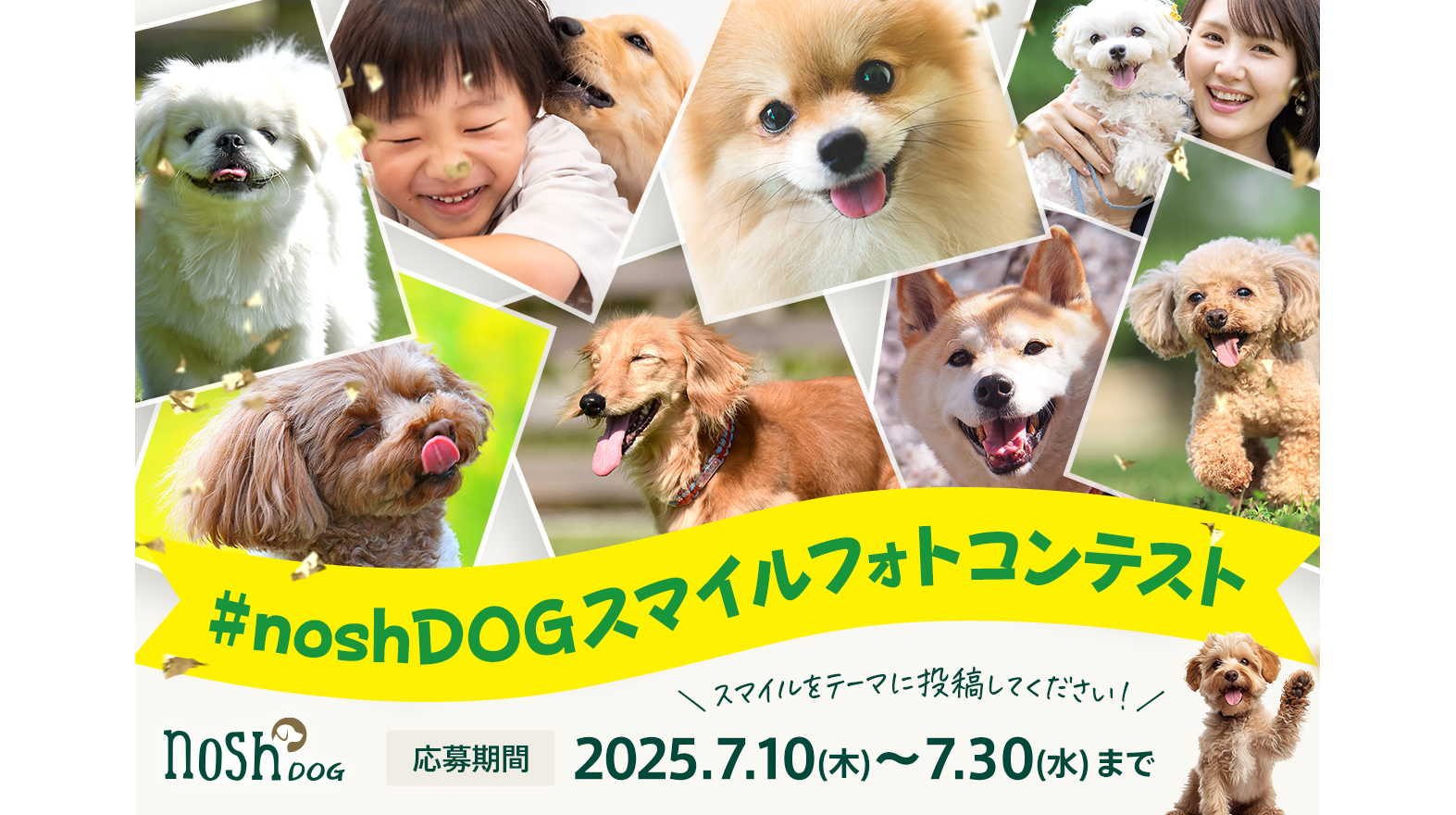 【nosh DOG】ワンちゃんの笑顔の写真を募集！公式SNSで「スマイルフォトコンテスト」を初開催 | ナッシュ株式会社